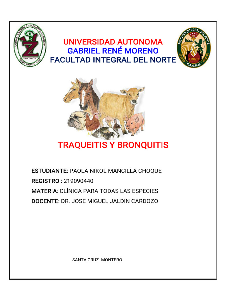 Traqueitis | PDF | Virus | Infección