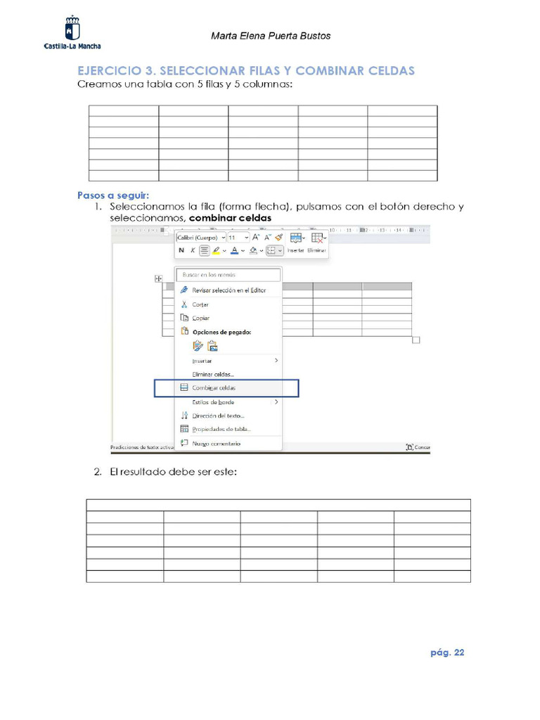 Ta13 - Combinar Celdas | PDF