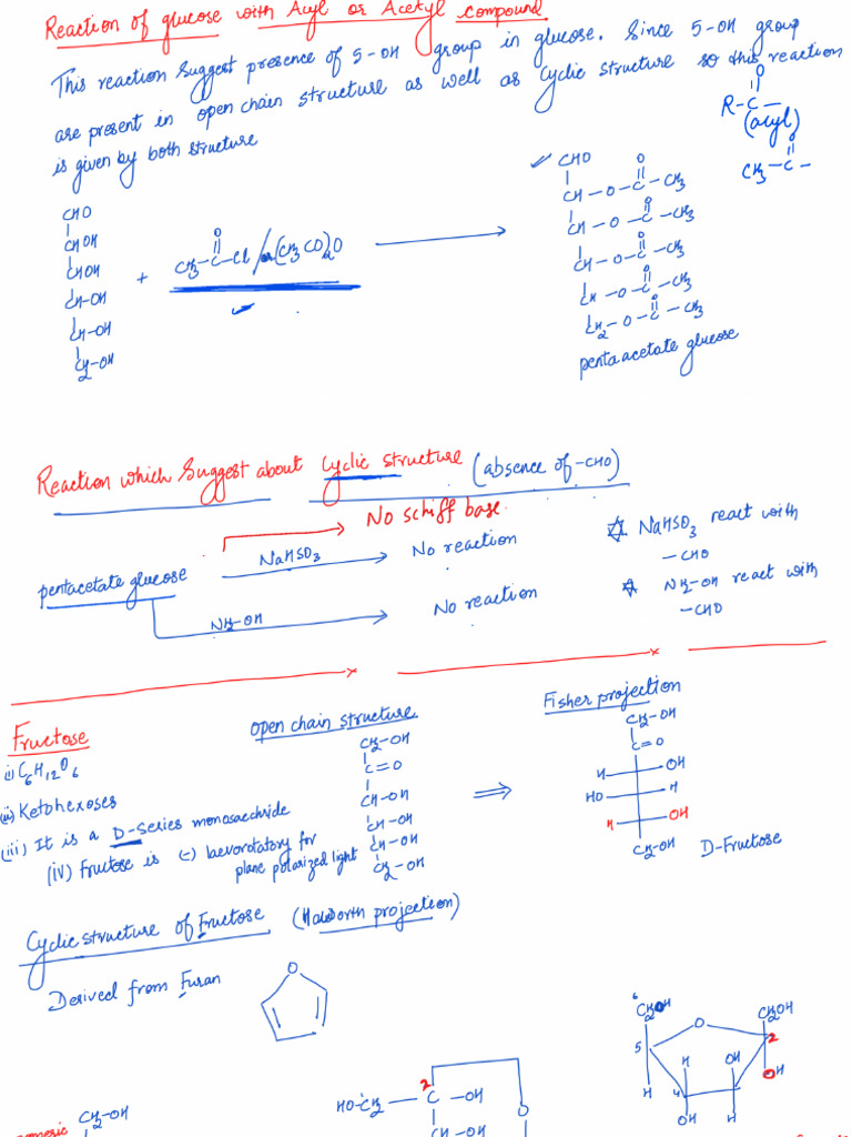LECT4 Biomolecules | PDF