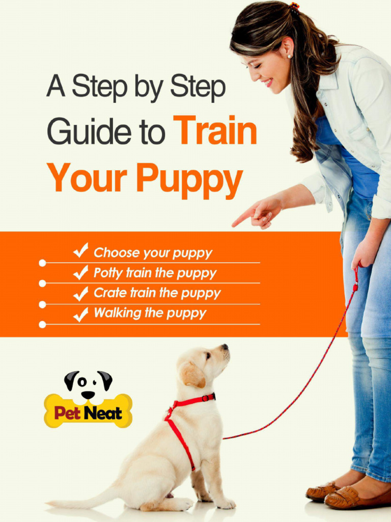 A Step by Step Guide To Train Your Puppy | PDF | Dog Breeds | Leash
