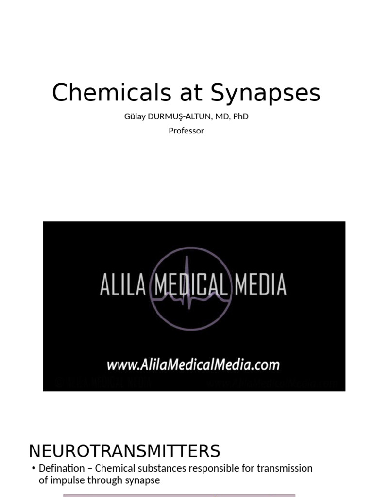 Chemicals at Synapses | PDF | Acetylcholine | Neurotransmitter