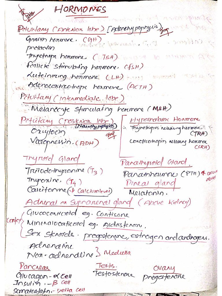 HORMONES | PDF