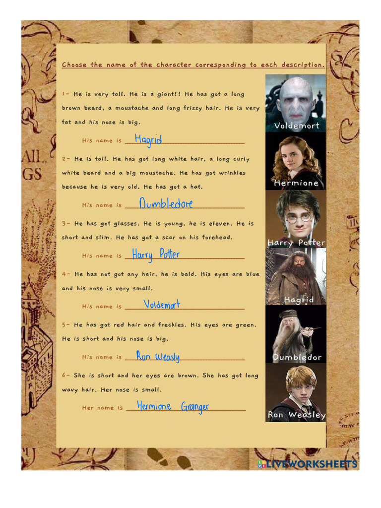 Reading Comprehension 12 - HP Description | PDF