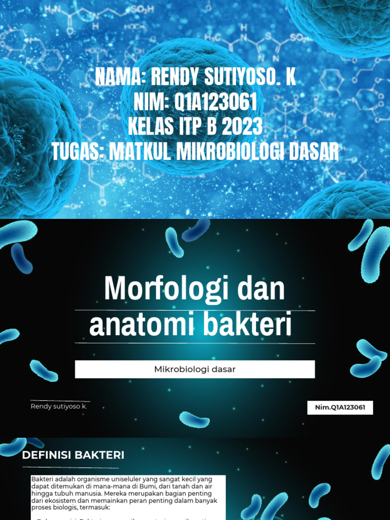 Botulism Breakthrough by Slidesgo - PPTX 20241007 170806 0000 | PDF