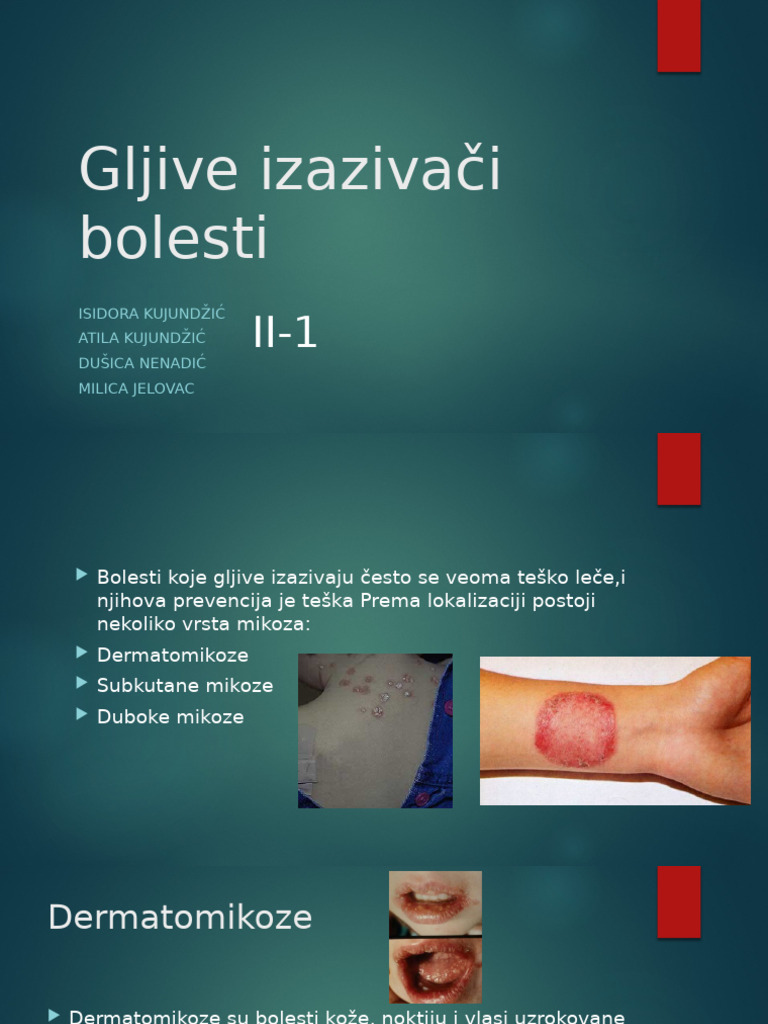 Gljive Izazivači Bolesti | PDF