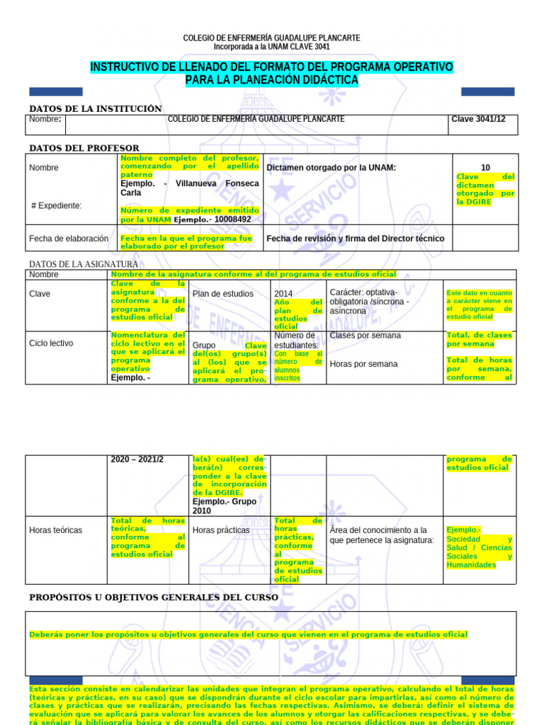 Instructivo de Llenado Del Formato Programa Operativo | PDF ...