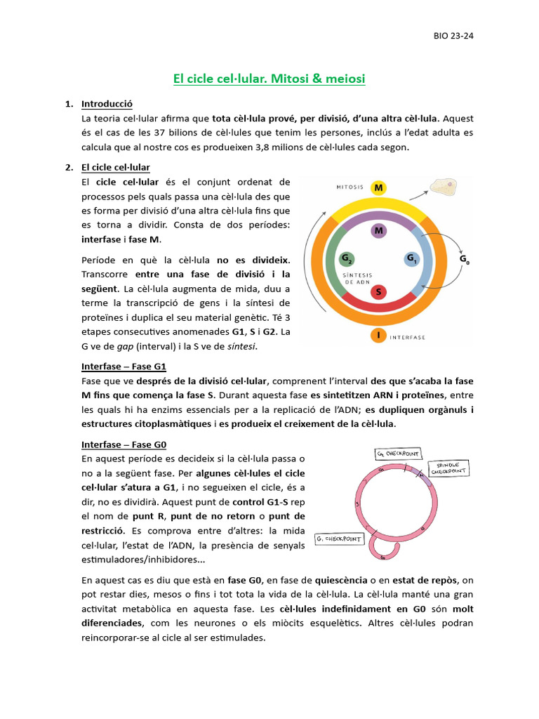 10 - El Cicle Cel Lular. Mitosi I Meiosi | PDF