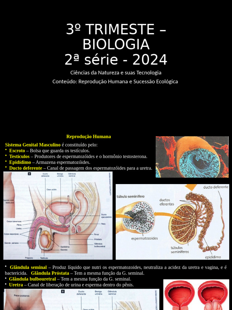 BIO. 2 Série - 3º Trimestre - Reprodução Humana e Sucessão Ecológica ...