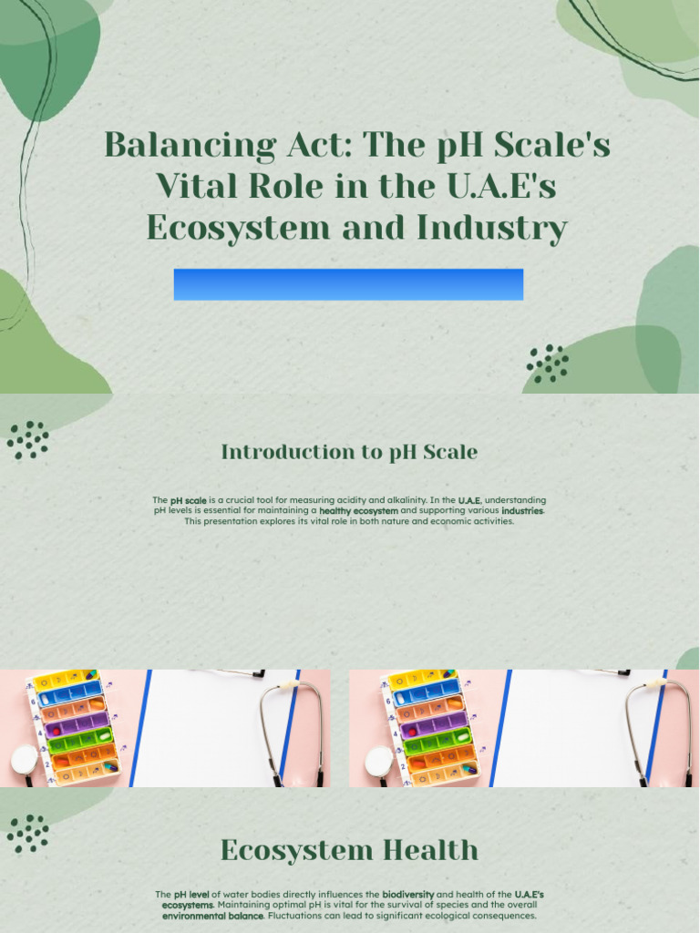 PH Scale Activity in UAE | PDF