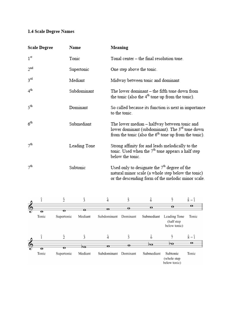 1.4 Scale Degree Names Handout | PDF | Language Arts & Discipline | Art