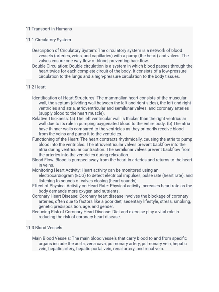 human transport | PDF | Heart | Vein