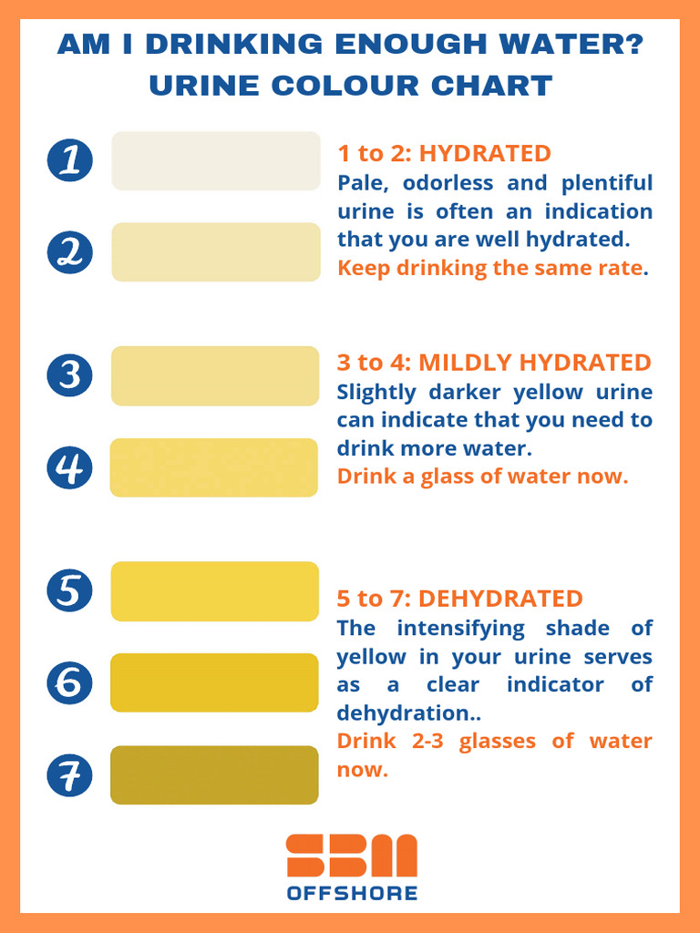 Urine Colour Chart | PDF