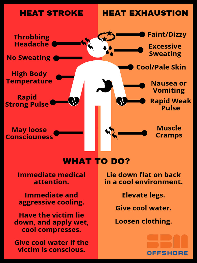 Heat Stroke vs. Heat Exhaustion Guide | PDF