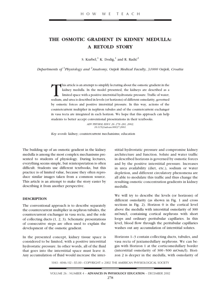 The Osmotic Gradient in Kidney Medulla | PDF | Urinary System | Kidney