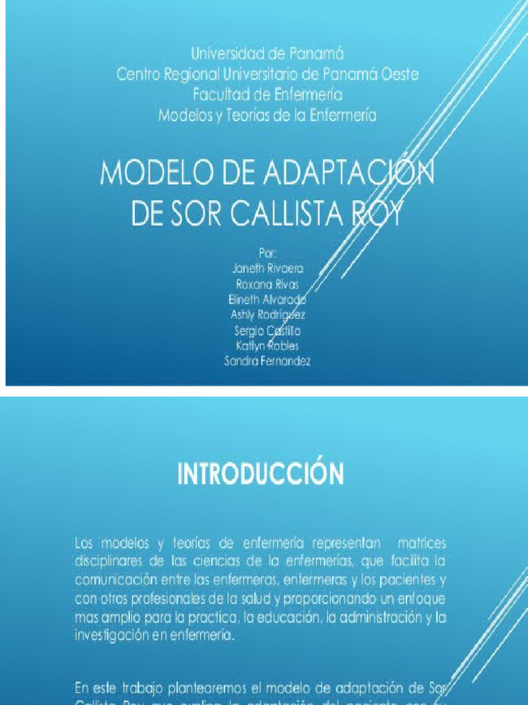 Teoria de Adaptacion | PDF