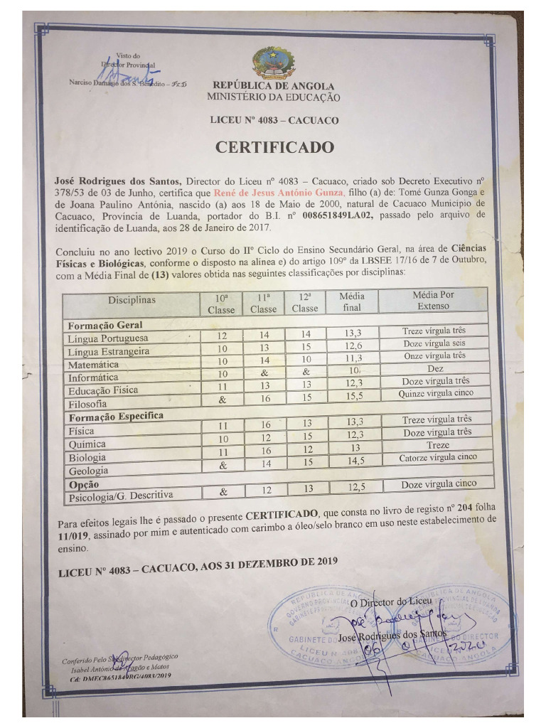 Certificado (1) - Compressed | PDF