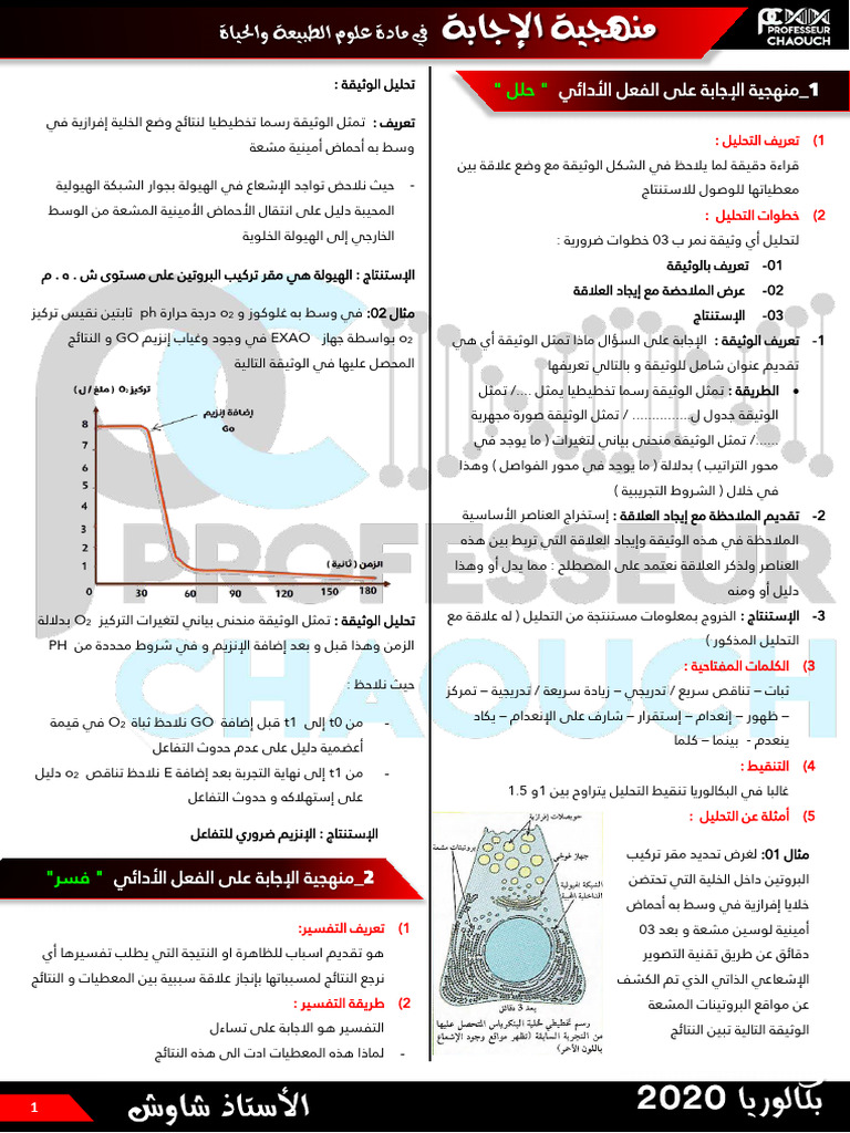 Dzexams Docs 3as 907206 | PDF