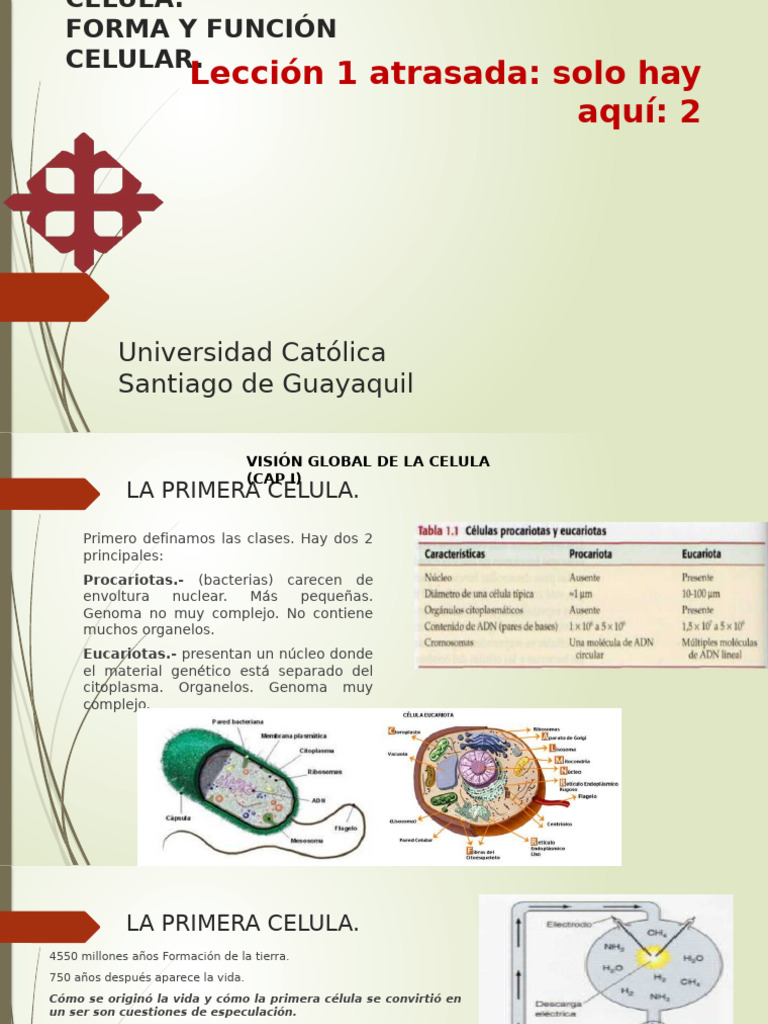 5 Forma y Funcion Celular b2023 | PDF | Membrana celular | Biología Celular)