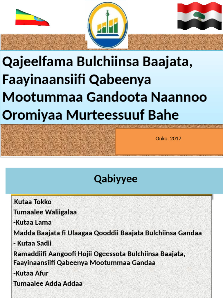 Qajeelfama Bulchiinsa Baajata, Faayinaansiifi Qabeenya | PDF