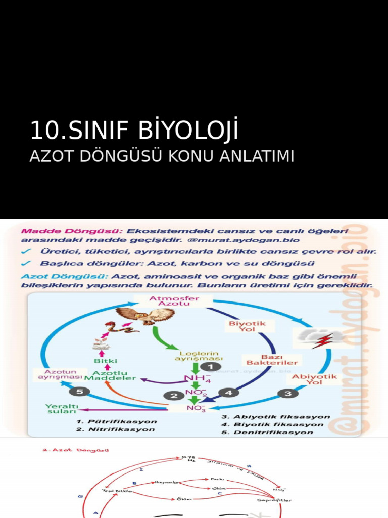 Sunu 5 | PDF