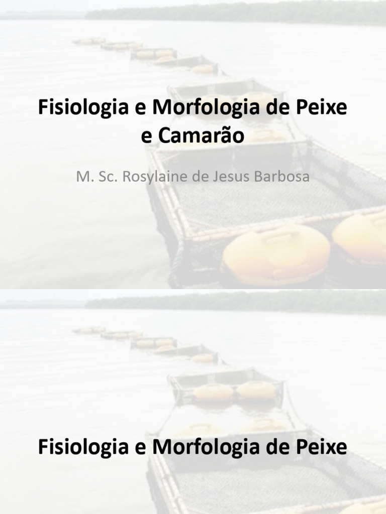 Fisiologia e Morfologia de Peixes e Camarão | PDF | Peixes | Corpo humano