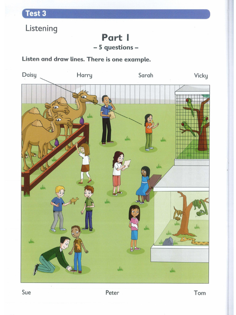 Lesson 4+5 - Reading + Listening | PDF