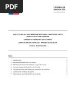 Instructivo SITRARED - Carga de Comprobantes. | PDF