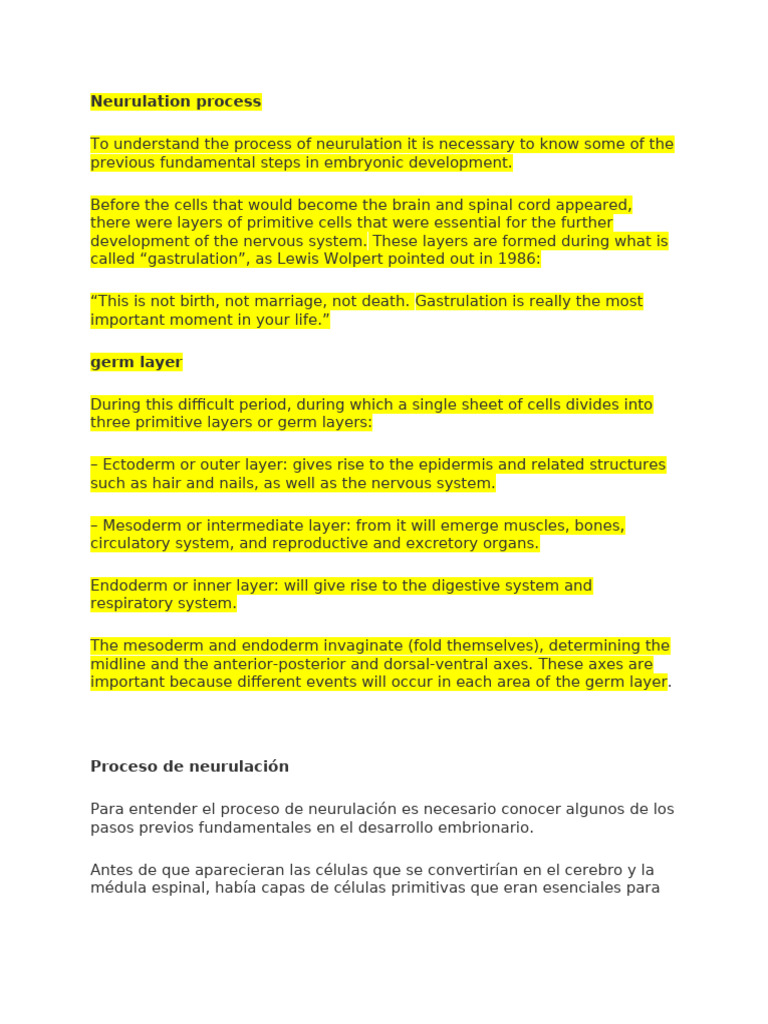 Neurulation Process | PDF | Sistema nervioso | Anatomía
