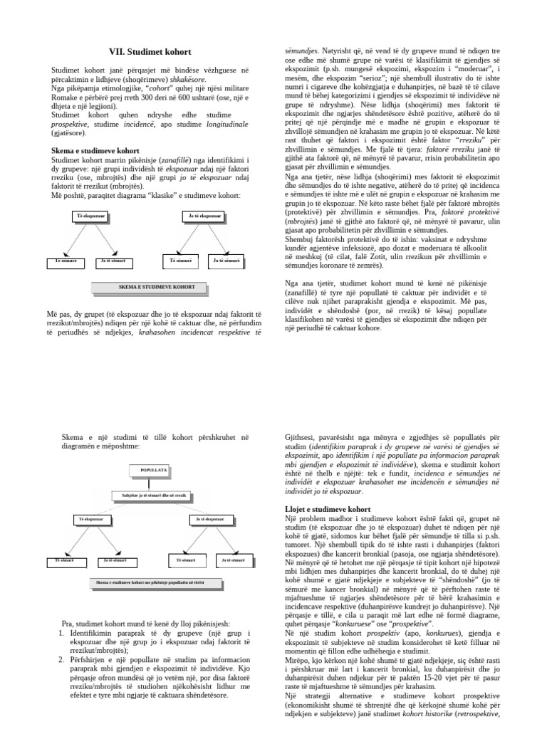 Epi 7 | PDF
