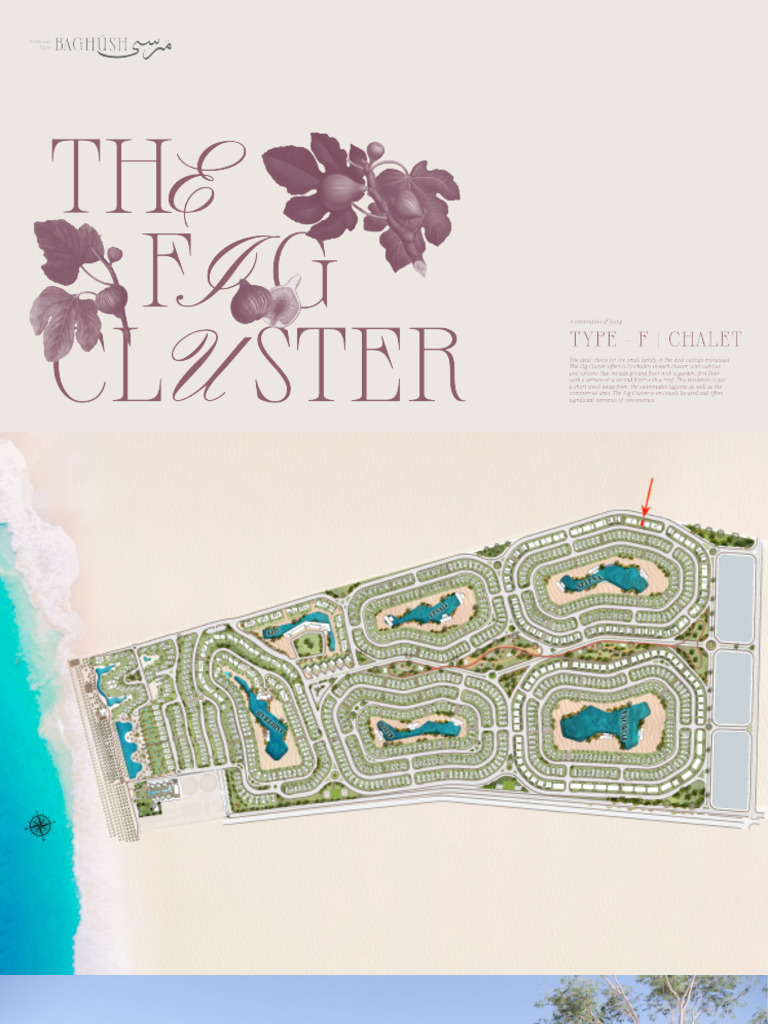Fig Cluster Brochure in Marsa Baghush | PDF