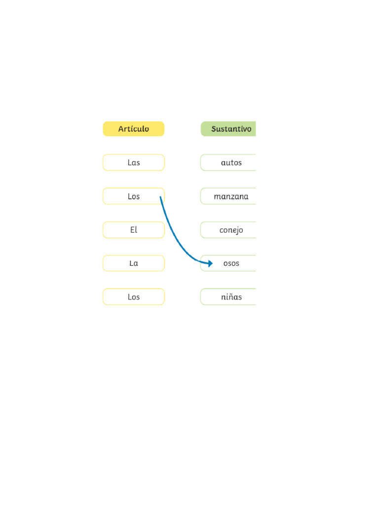 Ejercicio de unión de artículos y sustantivos | PDF