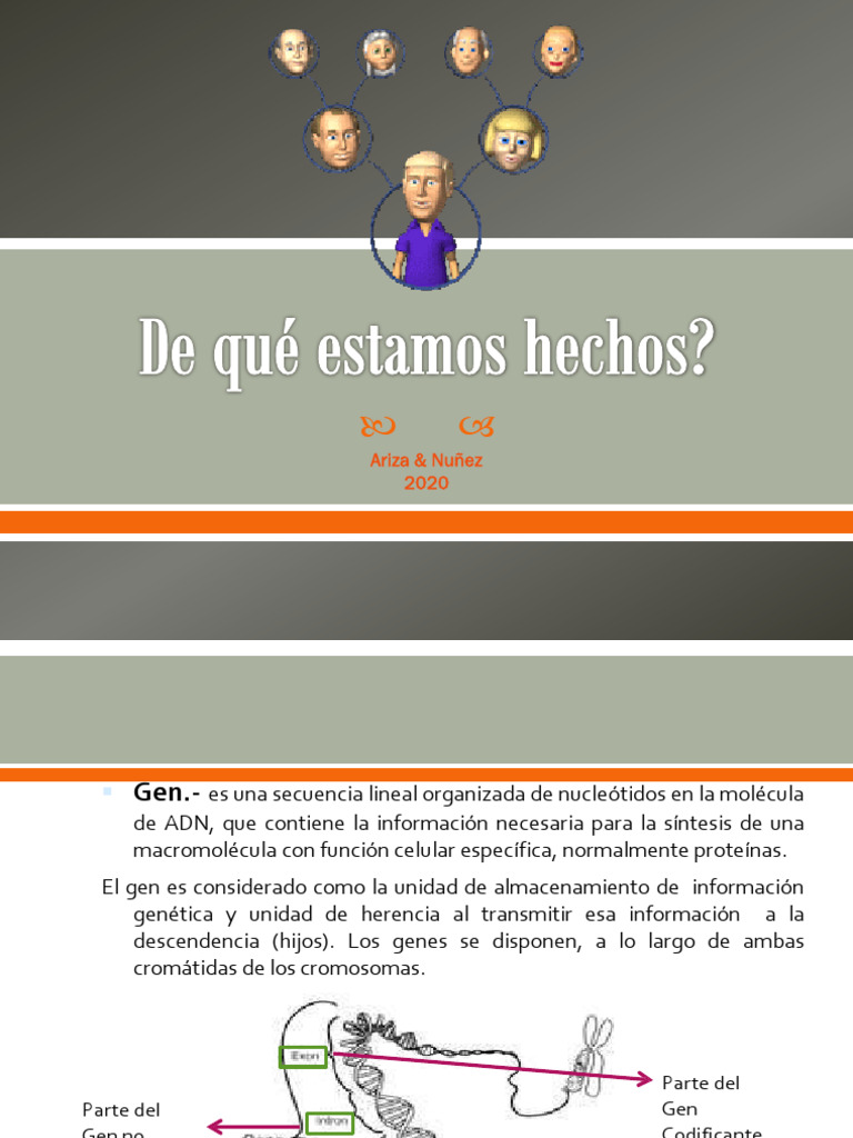 Epistasia | PDF | Gene | Dominancia (Genética)