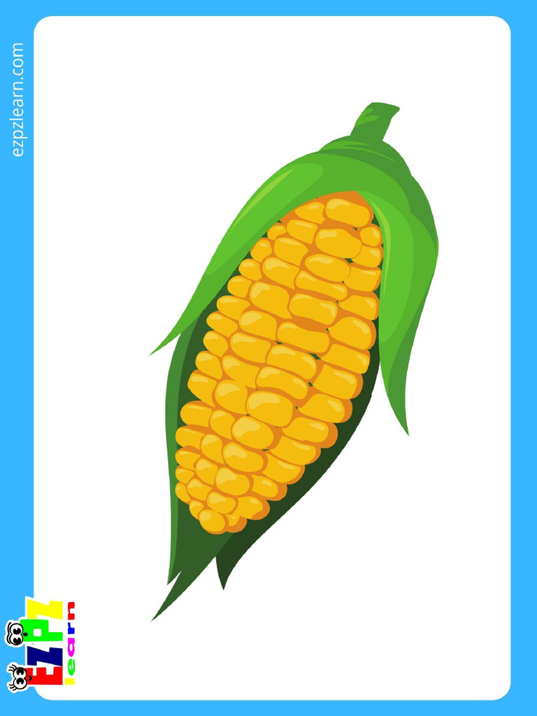 Flashcards Without Words Use Online or Free PDF Download | PDF