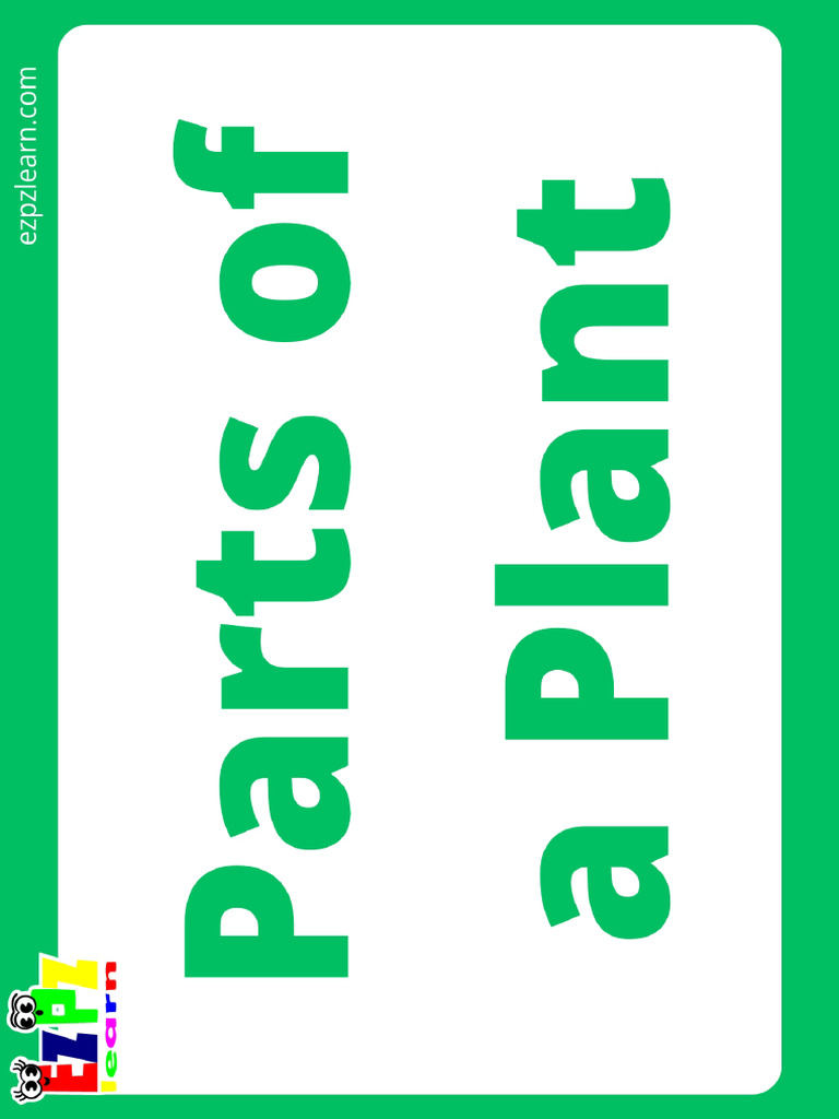 Plants Flashcards Free PDF Printable Download Part of A Plant Things ...