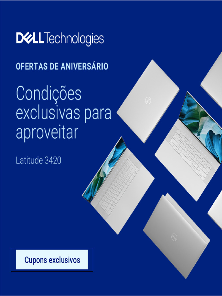 USP-DELL-20240815 | PDF