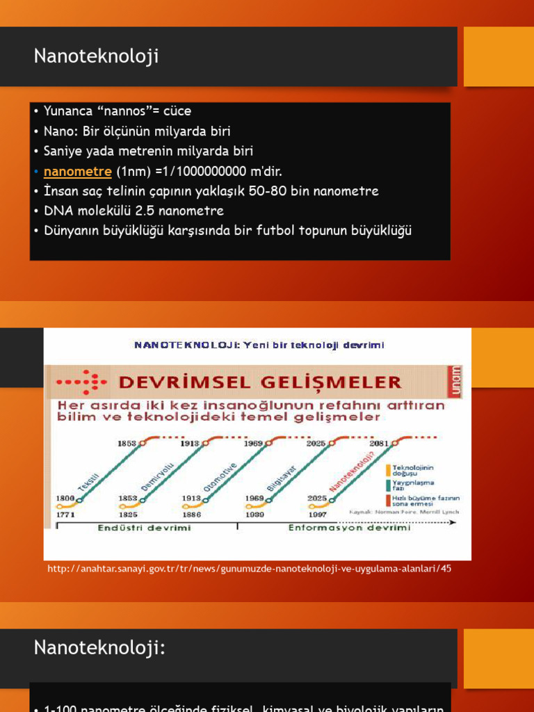 Nanoteknoloji Pinar Sacakli 2 | PDF