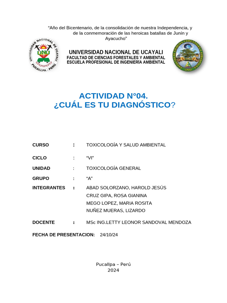 ACTIVIDAD N°4 | PDF
