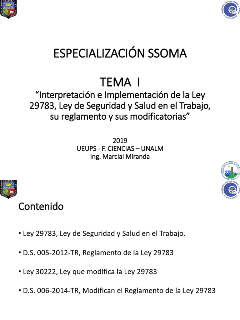 Tema 1 Interpretación E Implementación Sst Ley 29783 Pdf Derecho