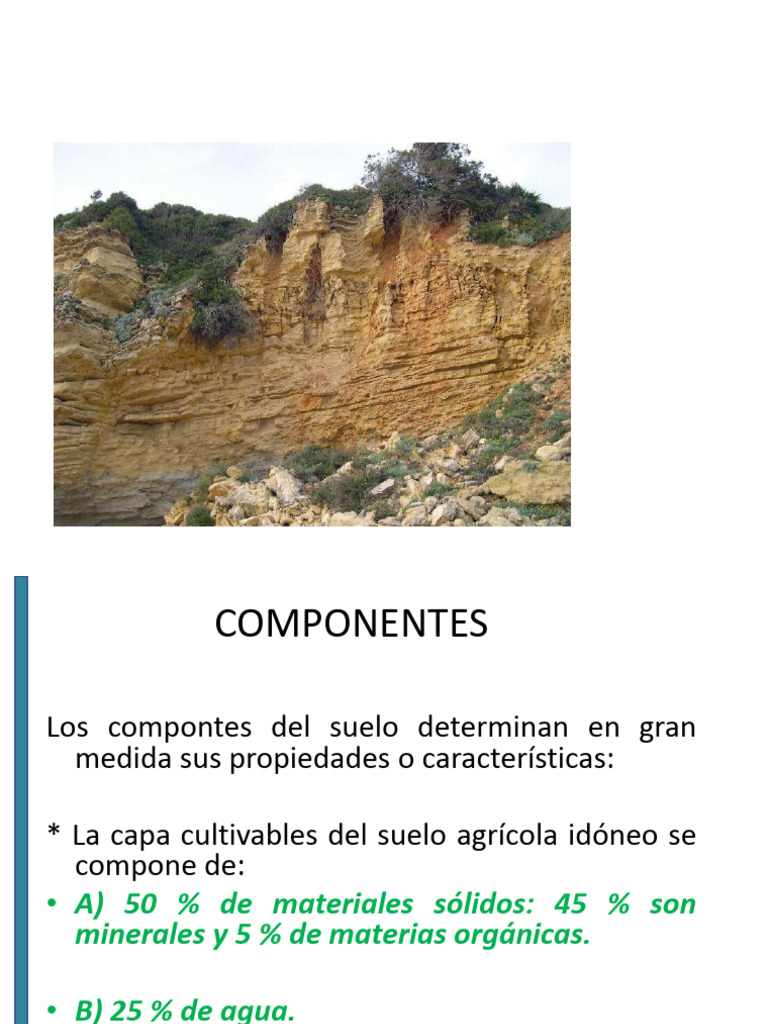 Componentes Del Suelo | PDF | Suelo | Agua