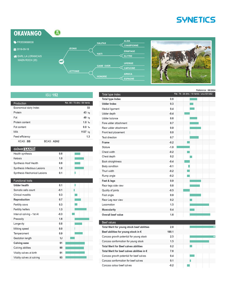 Bull Evolution International 2024-10-26 23-08-11 | PDF | Cattle ...