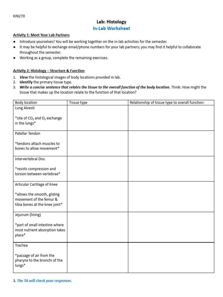 Histology Lab Guide for Students | PDF