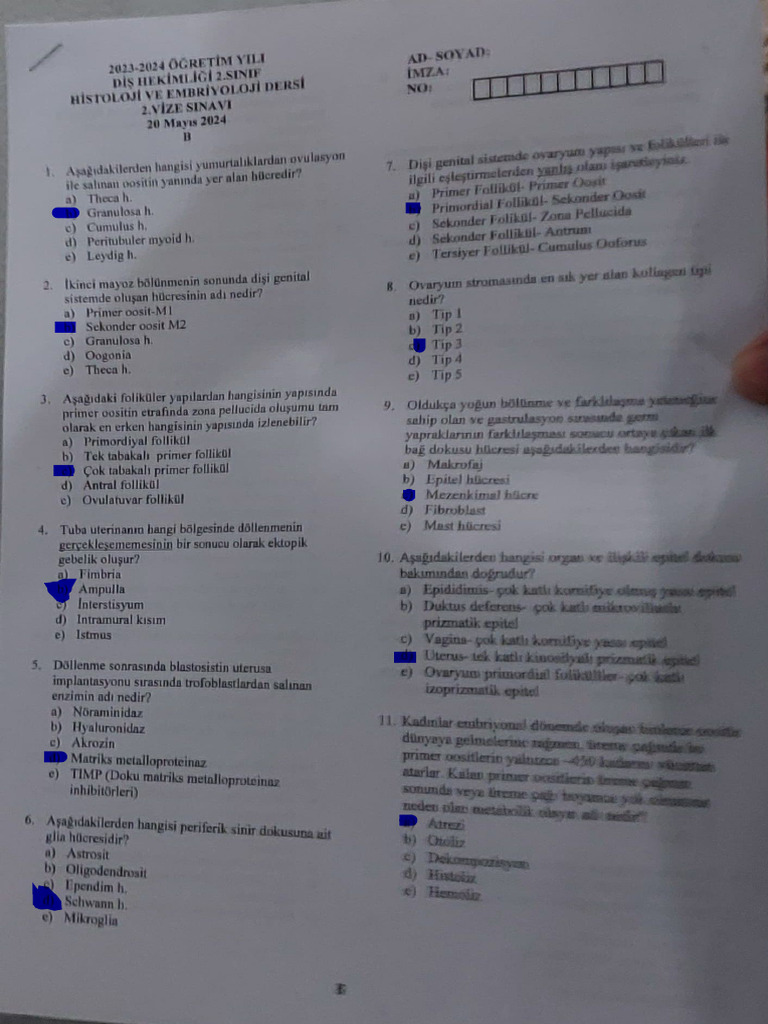 Histoloji 2.vize 2024 | PDF