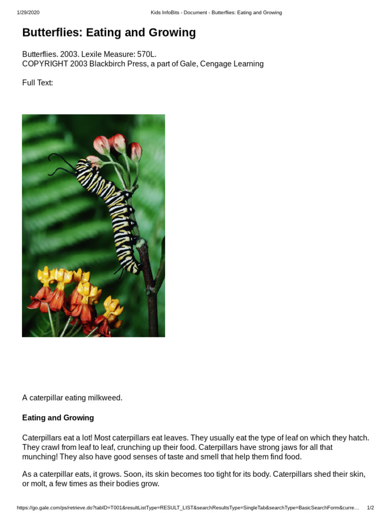 Kids InfoBits - Document - Butterflies: Eating and Growing | PDF | Home ...