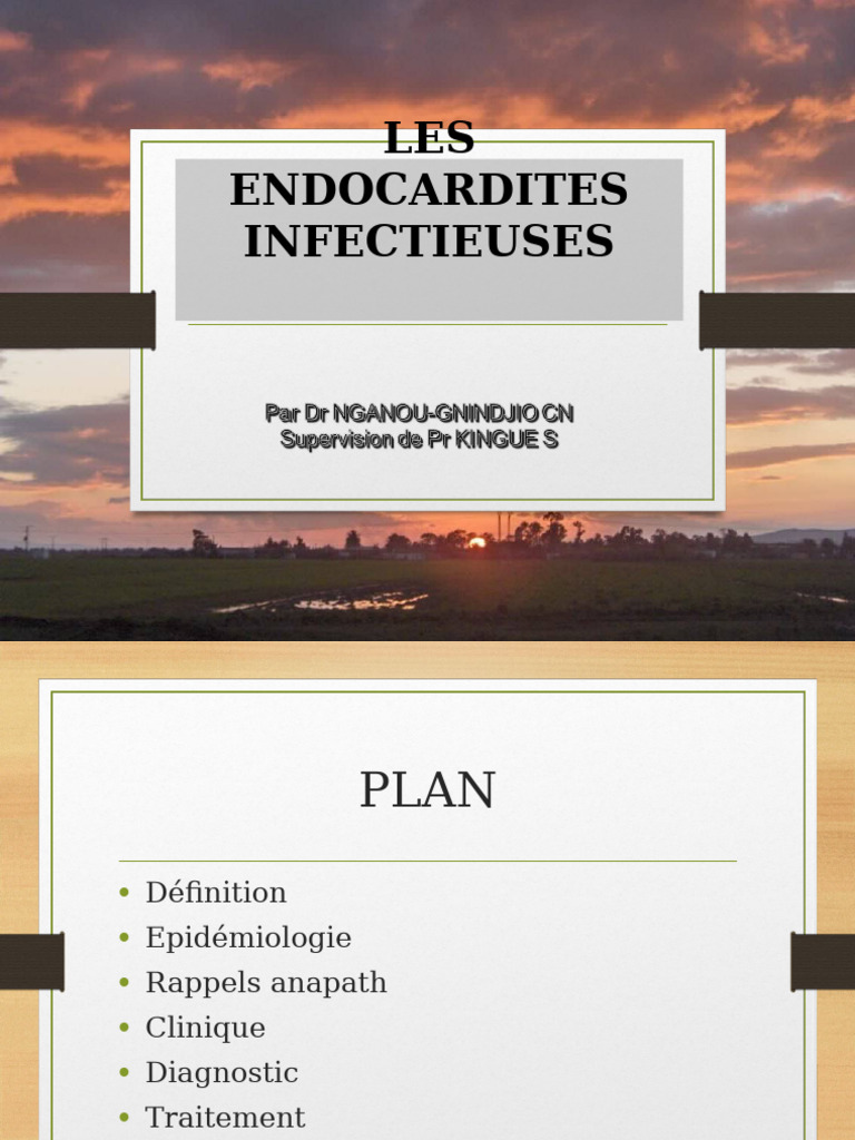 04 Endocardite Infectieuse | PDF | Cœur | Causes de décès