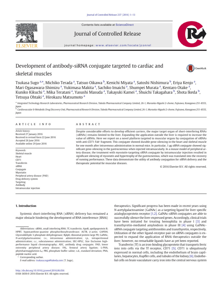 Development Of Antibody Sirna Conjugate Targeted To Cardiac And