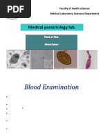Blood Parasite Identification Techniques | PDF | Staining | White Blood ...