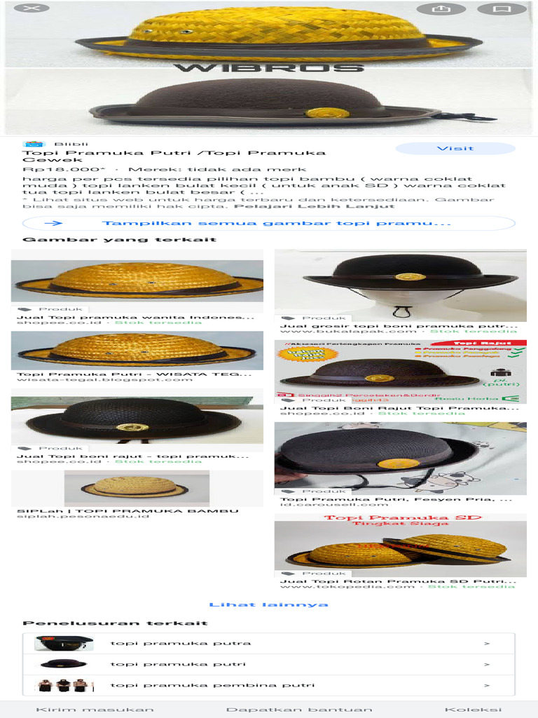 Topi Pramuka SMP Perempuan - Penelusuran Google | PDF