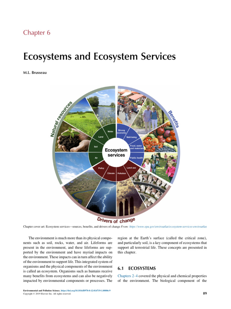 Chapter 6 - Ecosystems and Ecosystem Services | PDF | Ecosystem | Ecology