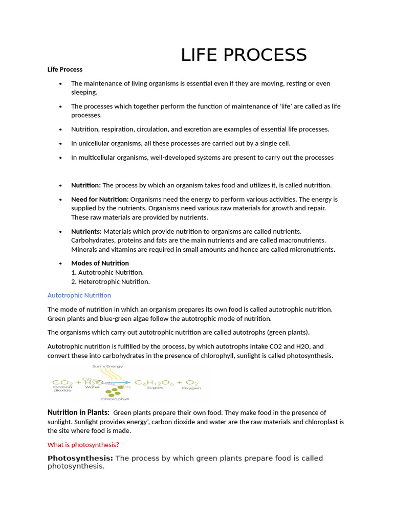 LIFE PROCESS | PDF | Digestion | Nutrition