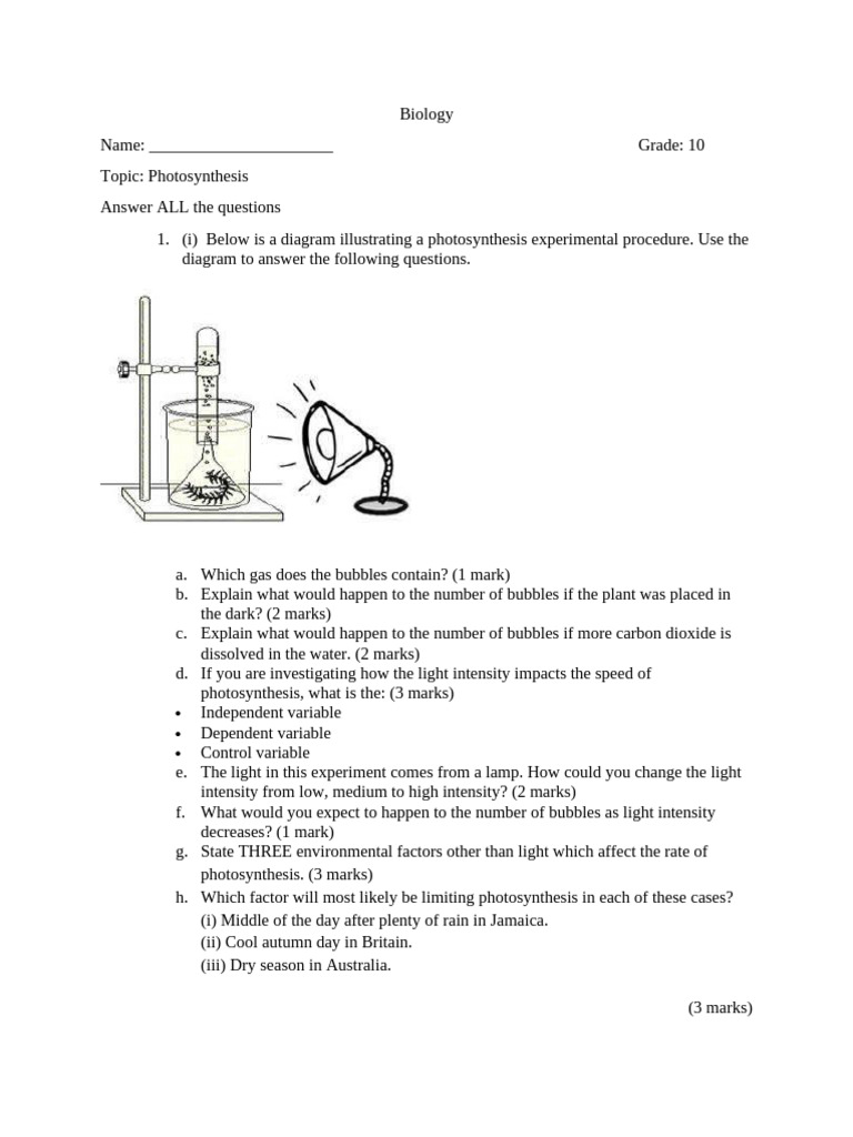 Photosynthesis Worksheet GR 10 | PDF | Photosynthesis | Carbon Dioxide